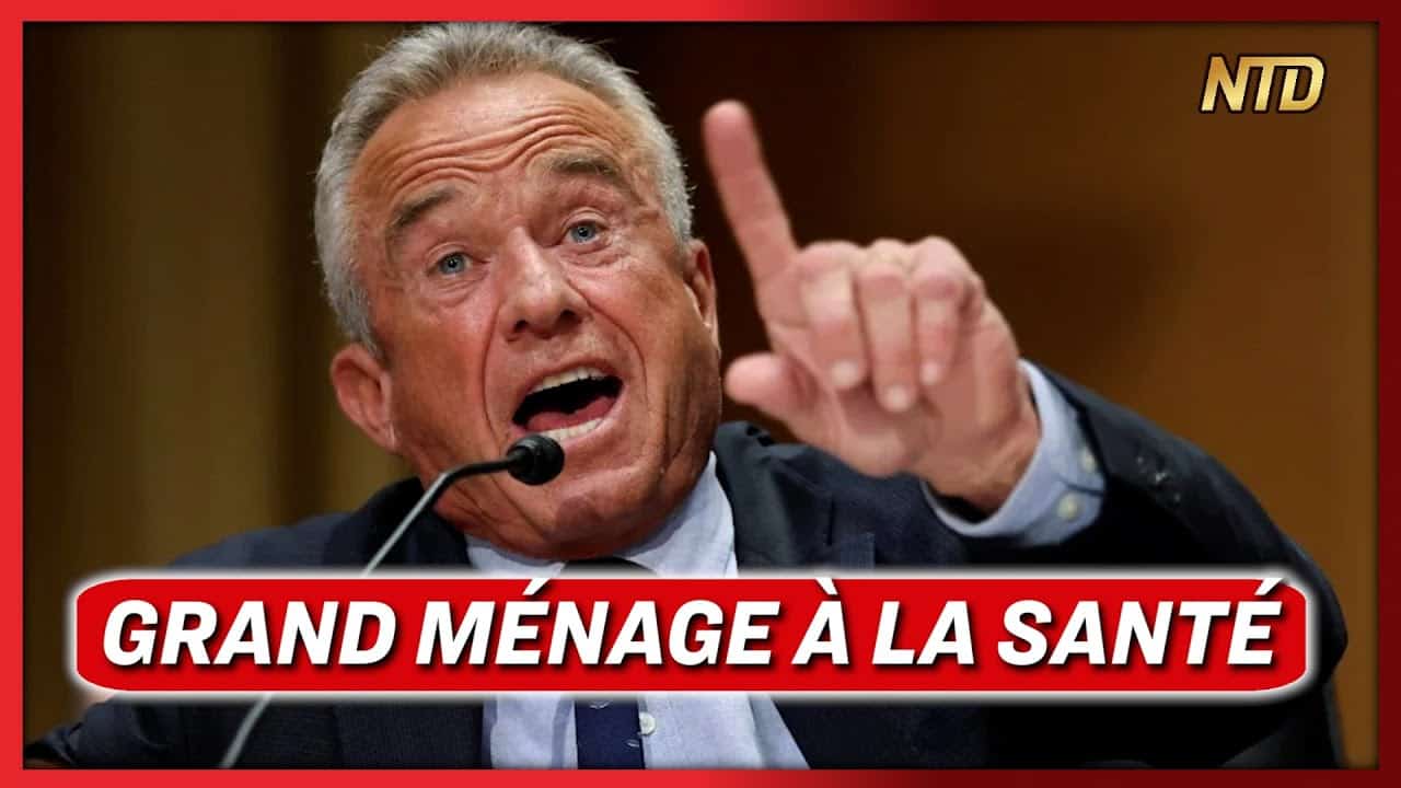 À propos de NTD France - NTD France