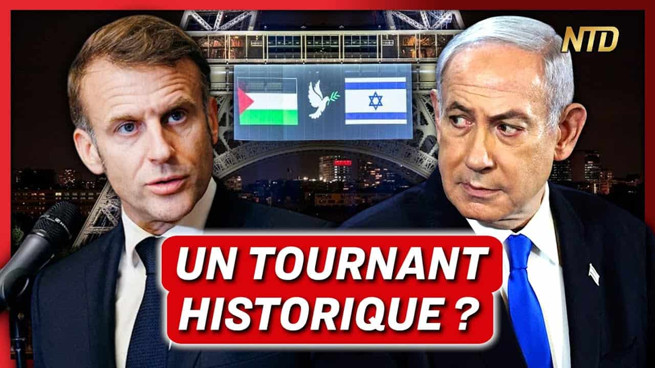 Actualités - NTD France